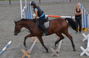 Proč využívat kavalety? | Horse4u