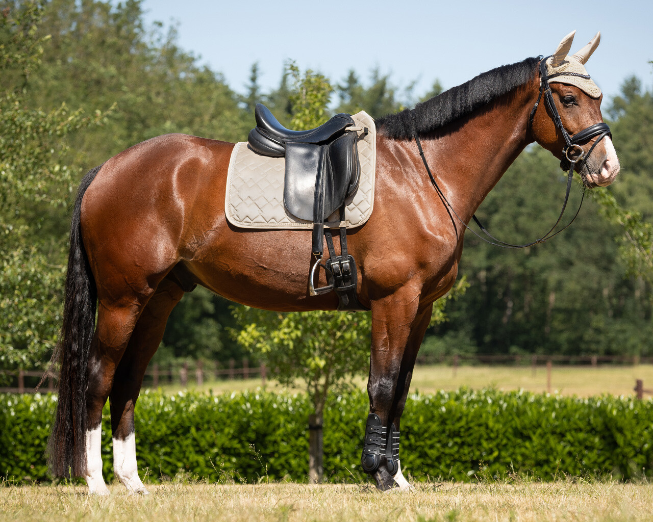 Kolekce Fading - Horse4u